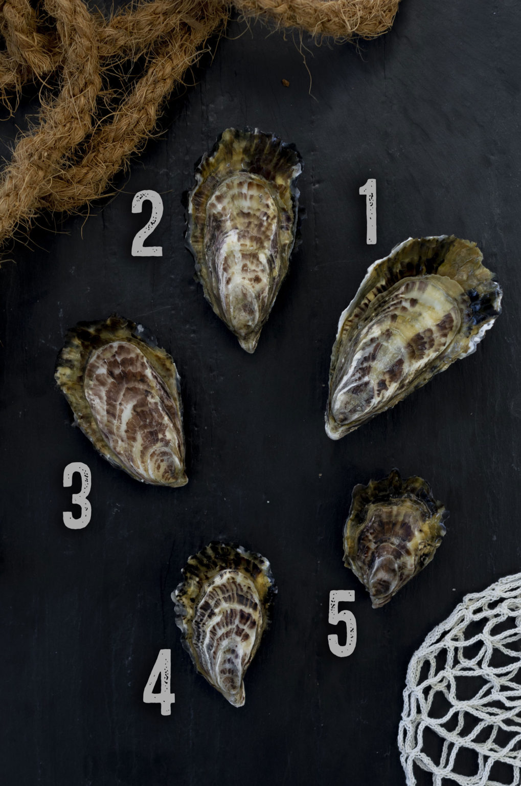 Huîtres creuses de Cancale n°3 « 4 saisons » non laiteuses – La Perle ...