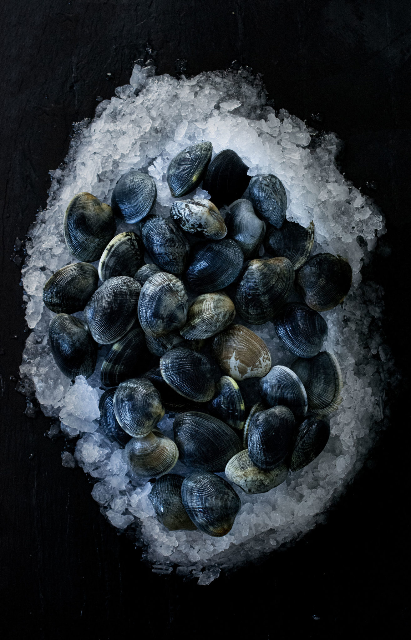 Palourdes – La Perle des Grèves